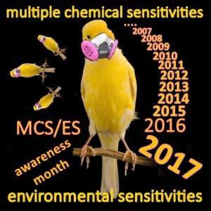 MCS/ES Awareness Month 2017 | Seriously "Sensitive" to Pollution