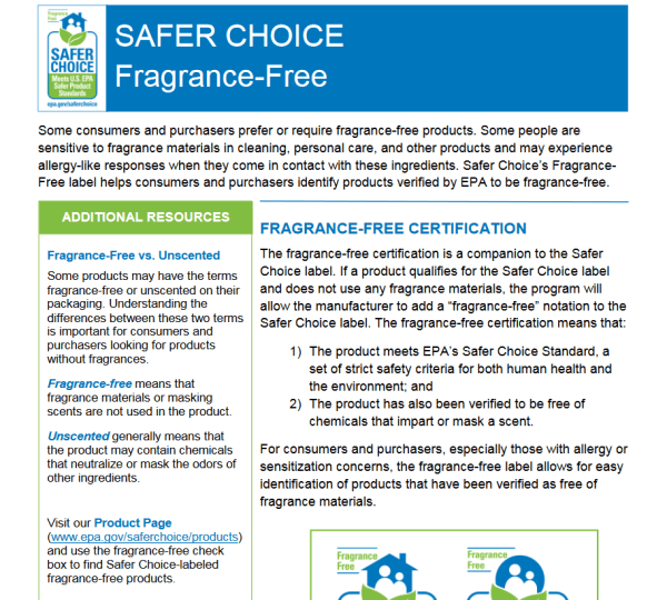 Are Essential Oils Fragrance-Free? | Seriously "Sensitive" to Pollution